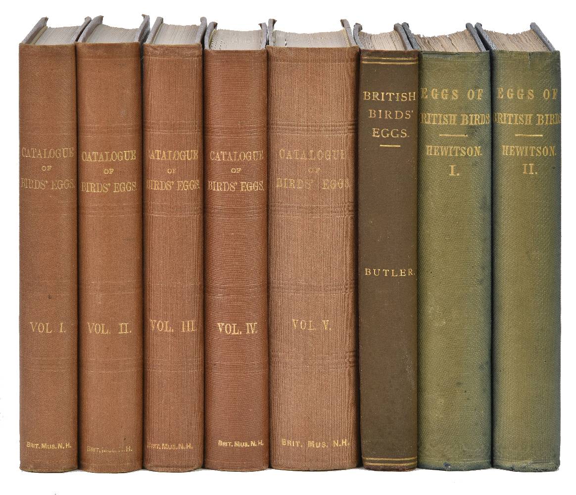 Lot 91 - Oates, Eugene W., & William Robert