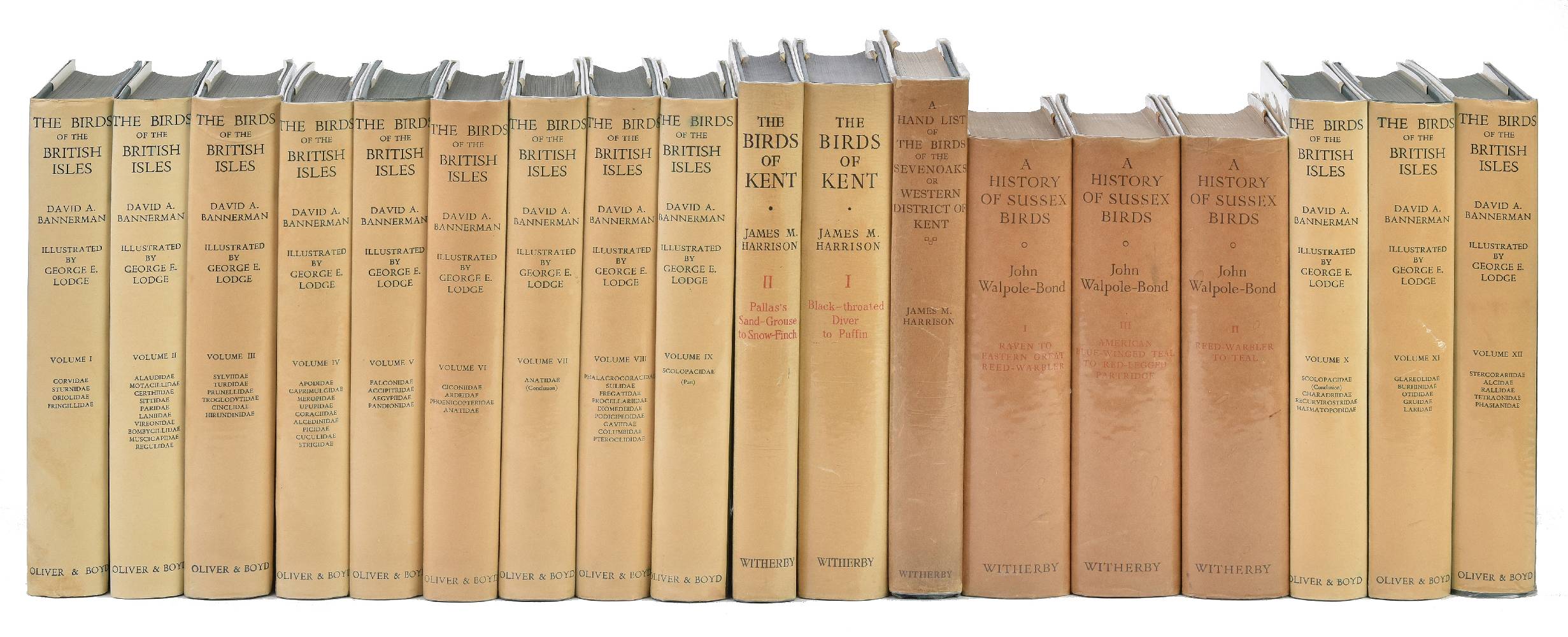 Lot 48 - Bannerman, David A.