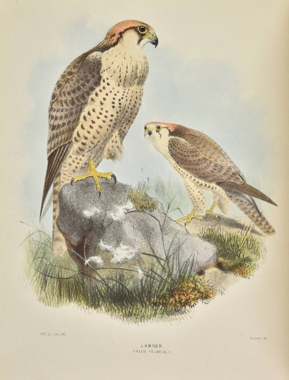 Lot 59 - Dresser, Henry Eeles