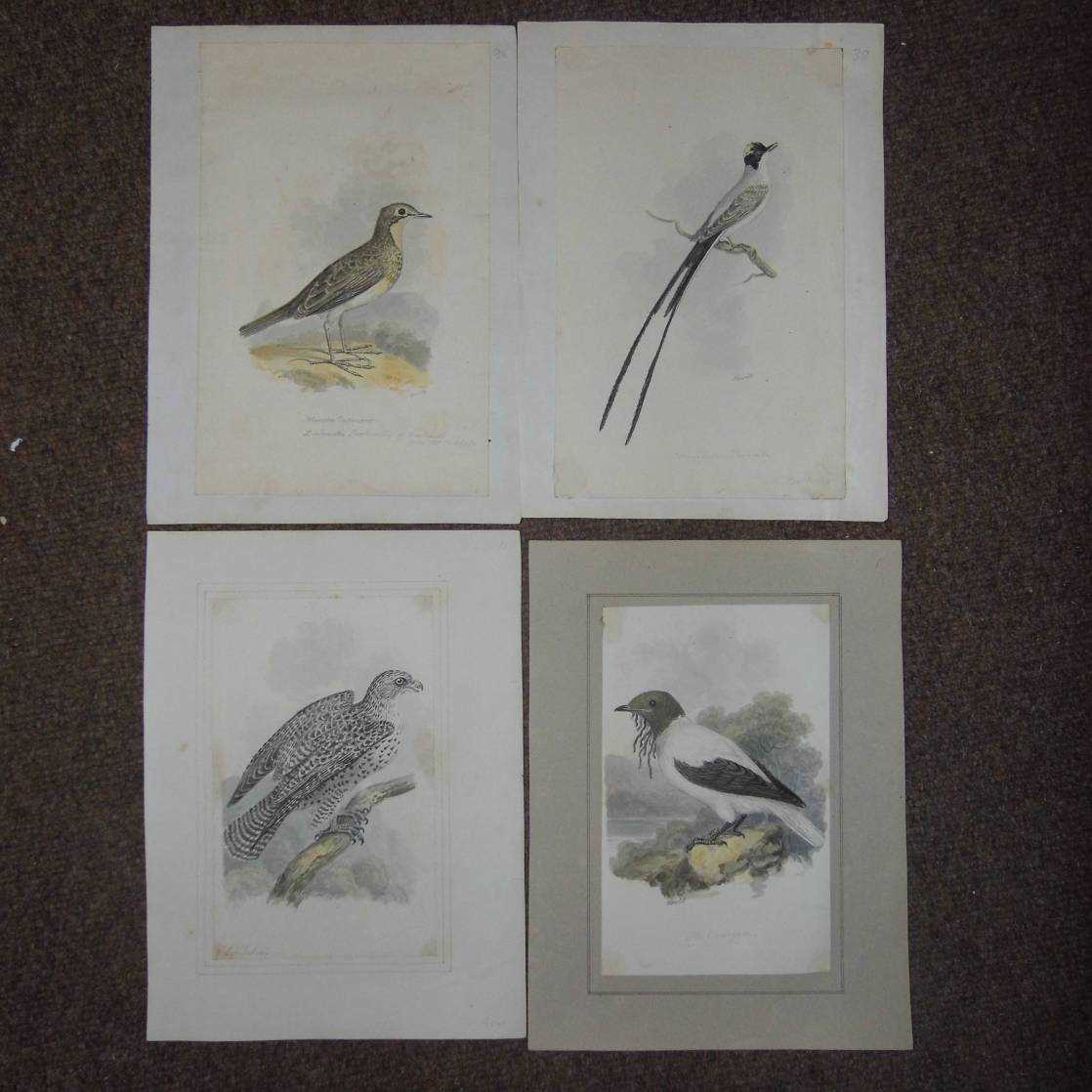 Lot 153 - Howitt, Samuel William 1765 - 1822